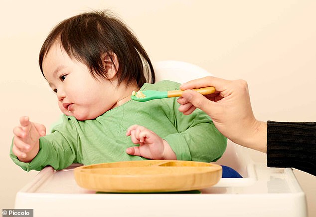 Is It Normal for Babies to Refuse Food Sometimes – Little Grubbers