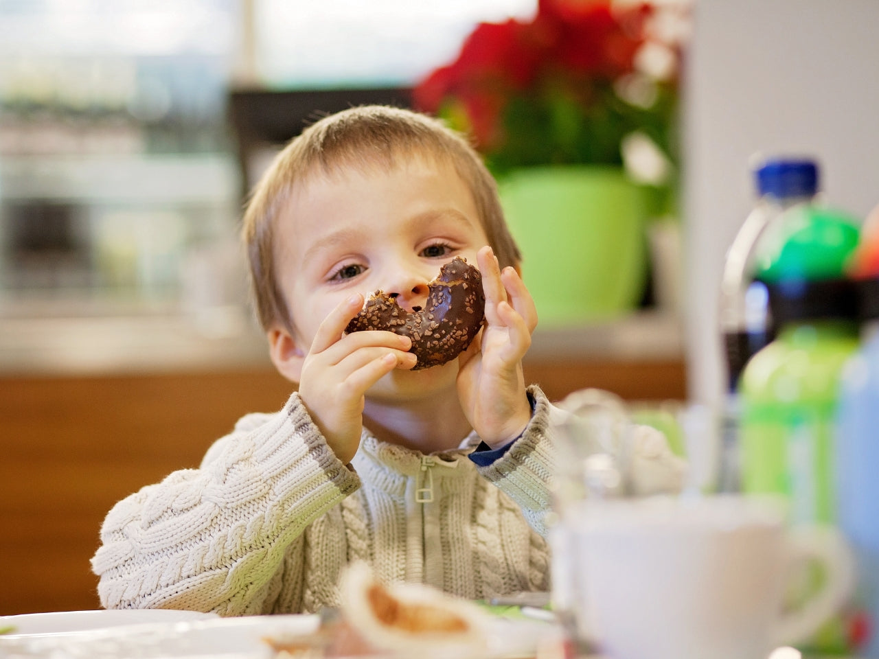 What to Do If Your Baby Prefers Snacks Over Meals – Little Grubbers